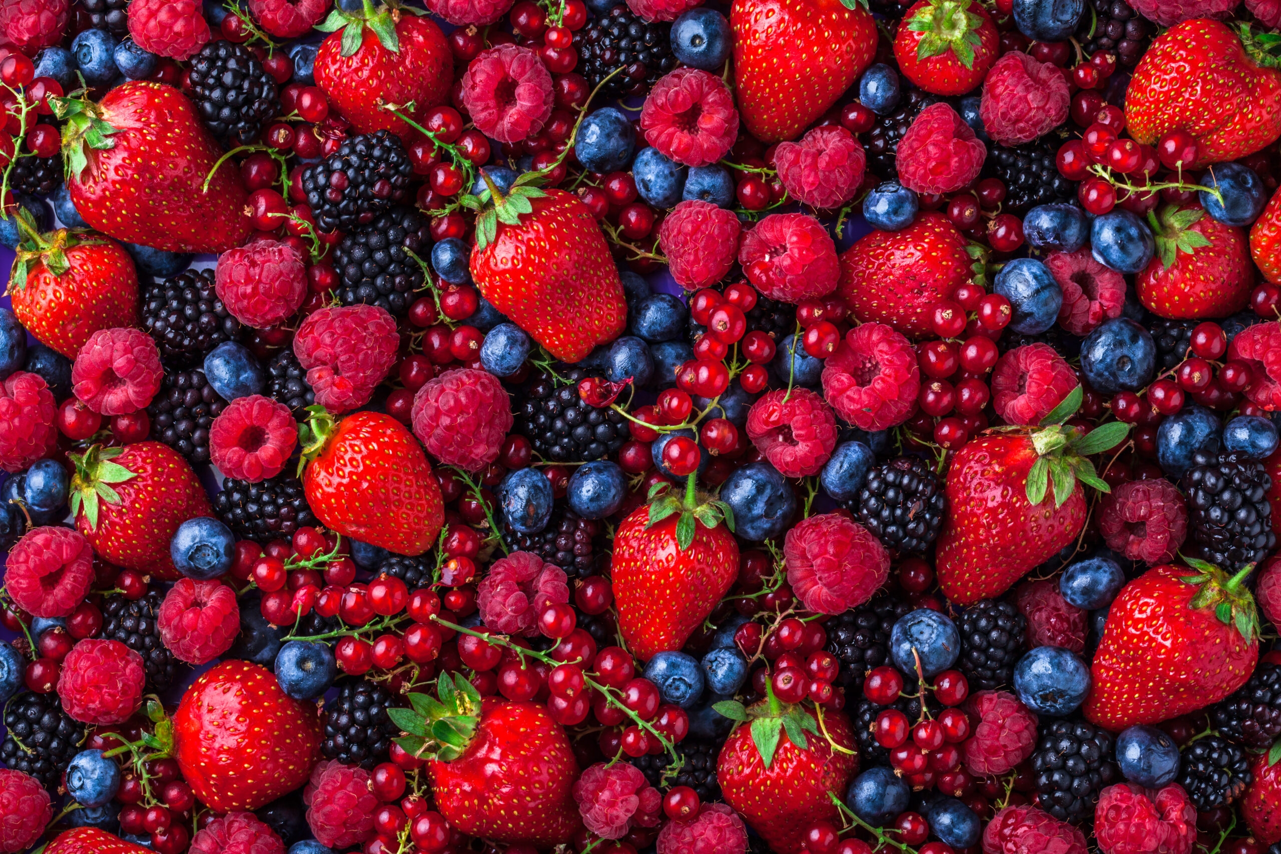 Berry Health Benefits Symposium - National Berry Crops Initiative