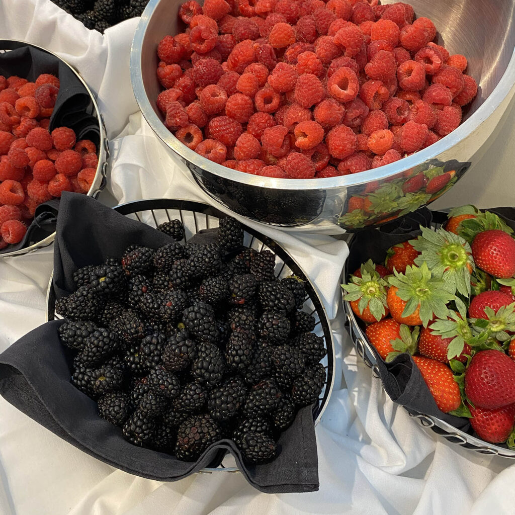 About NBCI - National Berry Crops Initiative