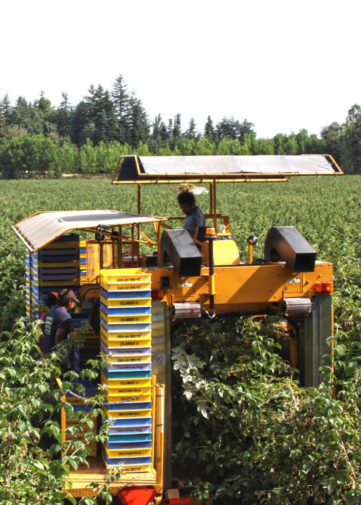 Goals & Objectives - National Berry Crops Initiative