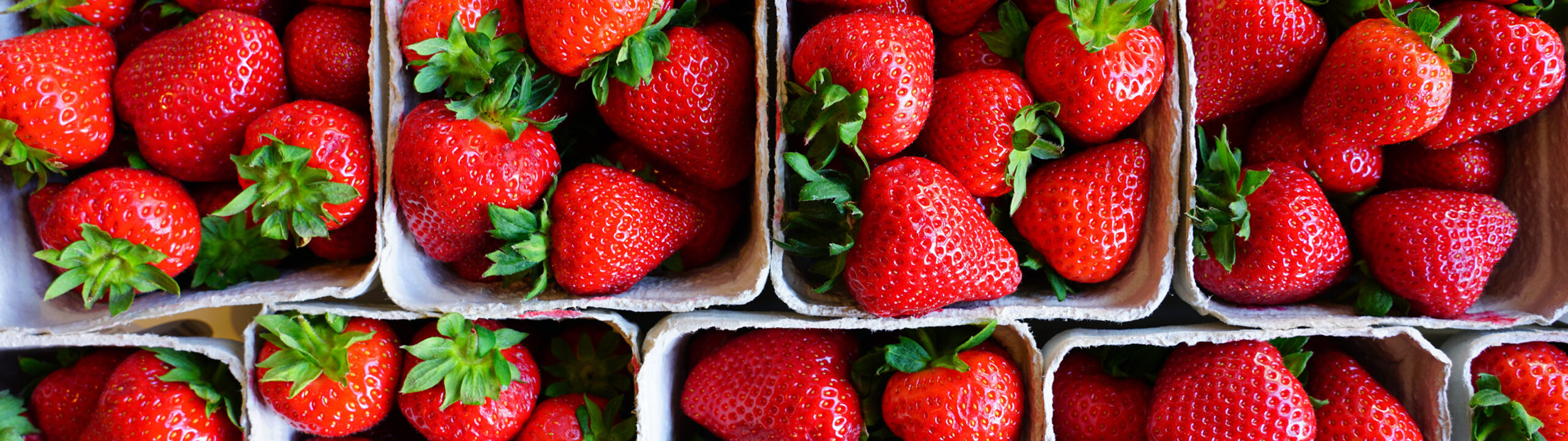 News - National Berry Crops Initiative